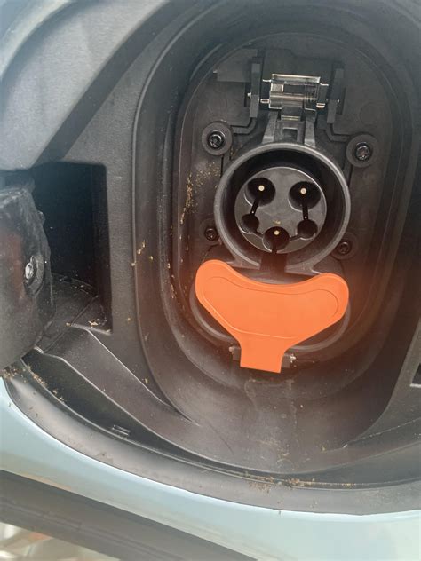 Ant Swarm In Charging Port Rboltev