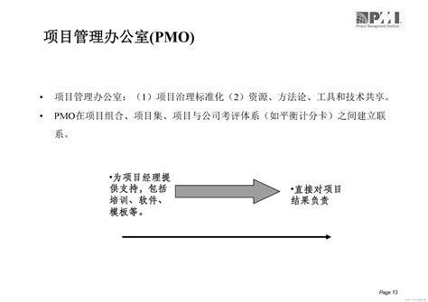 项目管理知识体系第六版第三章项目经理的角色 csdn博客