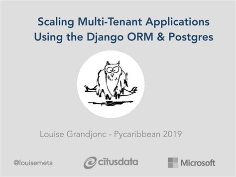 Scaling Multi Tenant Applications Using The Django Orm And Postgres Pycaribbean 2019 Louise