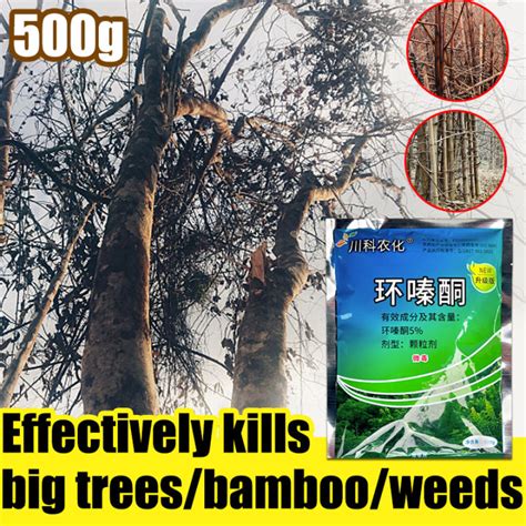 PP Herbicide To Kill Tree 3 Seconds To Remove Big Trees Kill Tree And Bamboo Remove Branches
