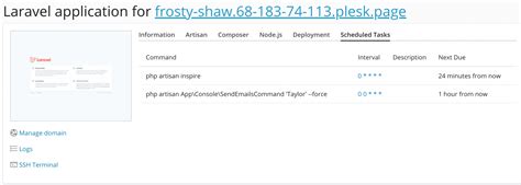 Laravel Application Hosting In Plesk Plesk
