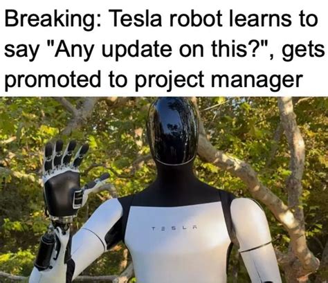 lazy programmer on linkedin it s hilarious 😂 14 comments