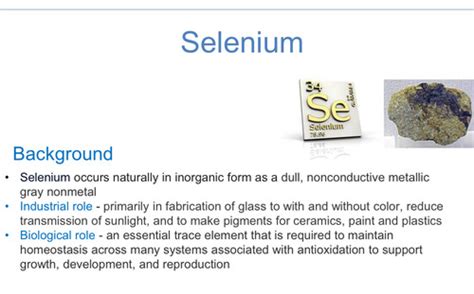 Week Selenium Flashcards Quizlet Week Selenium Flashcards Quizlet