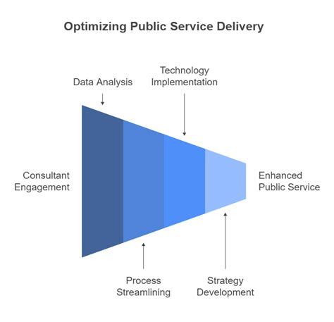 public service delivery optimization consultant