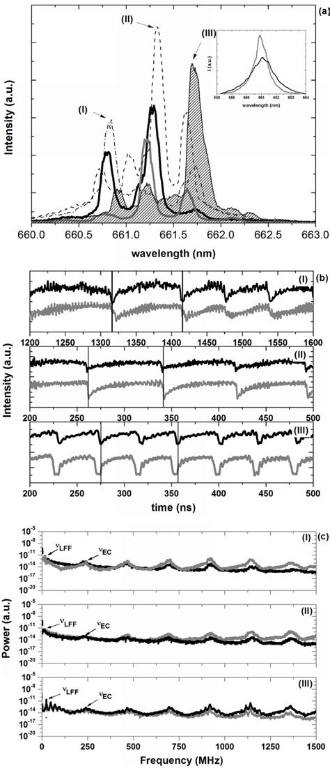 synchronization characteristics of the laser dynamics for master and