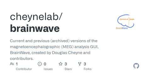GitHub Cheynelab Brainwave Current And Previous Archived Versions Of The