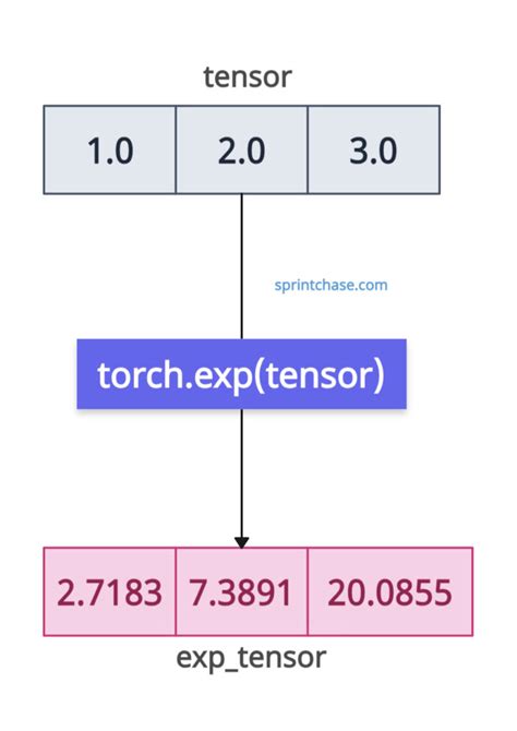 Torch Exp Exponential Of Elements In A Tensor