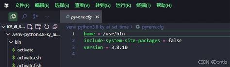 python venv不适合变更路径（路径变更）的几种解决方案（venvpack、pip download、pip install no