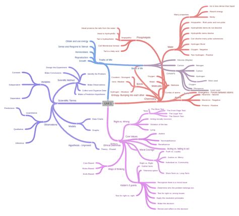 unit 1 coggle diagram