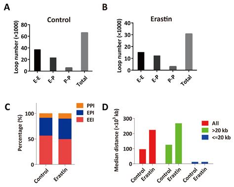 Three Dimensional Gene Regulation Network In Glioblastoma Ferroptosis