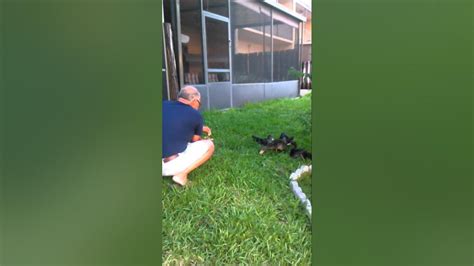 Julio Clavell 1 Youtube