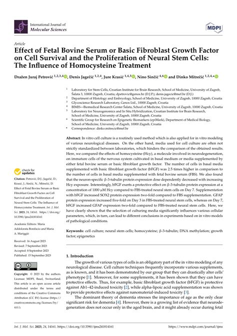Pdf Effect Of Fetal Bovine Serum Or Basic Fibroblast Growth Factor On