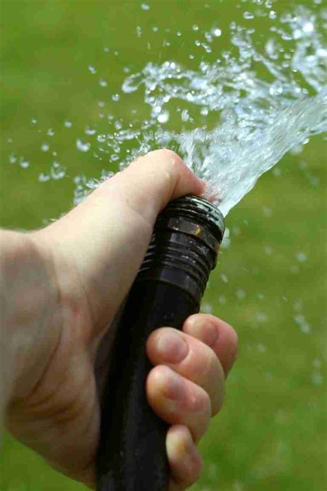 How To Prune Hydrangeas For Winter Hydrangea Love