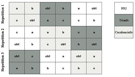 Model Of The Split Plot Design With Randomized Complete Blocks Used