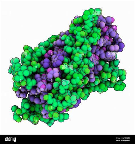 Hiv 1 Glycoprotein Gp41 Molecule Computer Model Showing The Trimeric Core Structure Of The Hiv