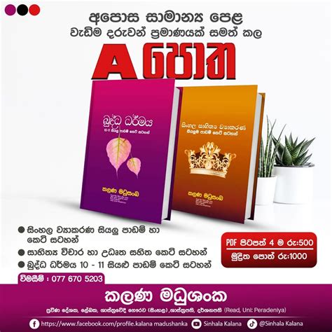 තුන් හෙළයේ සිංහල පන්තිය නූතන සිංහල කවිය සතුටුදායක තැනක නෑ මහාචාර්‍ය විමල් දිසානායක සිංහල