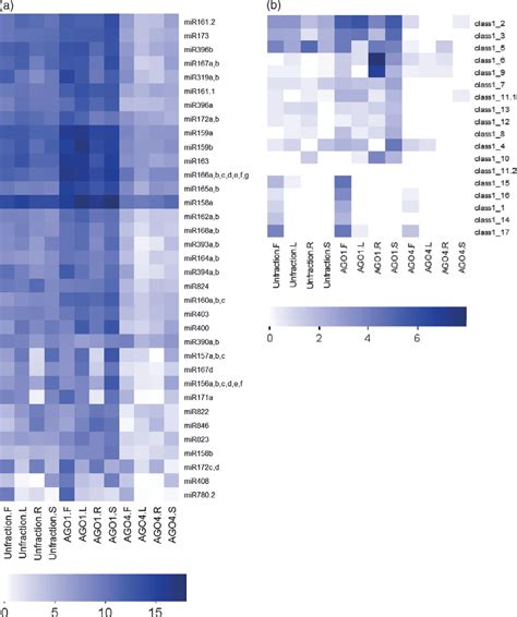 Figure 4 From Deep Sequencing Of Small Rnas Specifically Associated