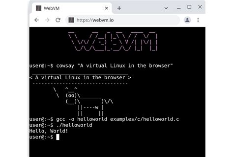 Webvm Linux Virtualization In Webassembly With Full Networking Via