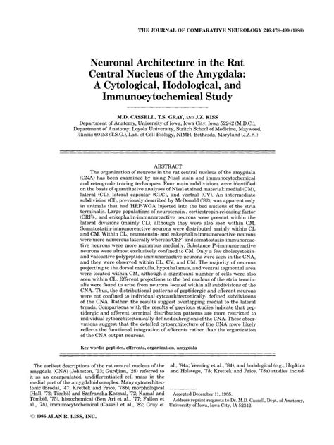 Digital Article Delivery Services On Linkedin Neuronal