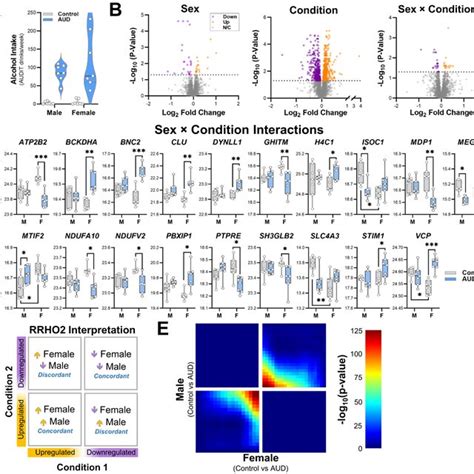 Proteomic Adaptations In The Ofc Across Sex And In Aud Cases A Drinks