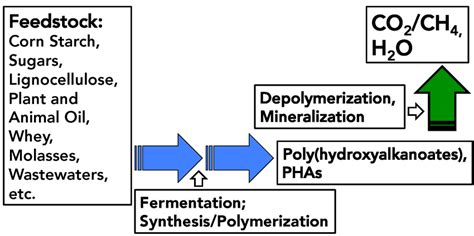 A Flow Chart Showing The Synthesis Of Biodegradable Download