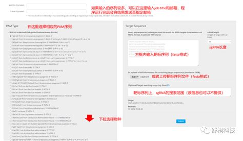 基因编辑工具分享二 sgRNA设计线上工具Cas Designer 知乎