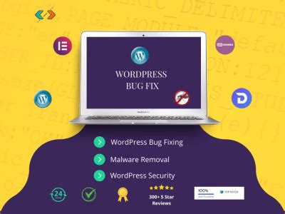 WordPress Bug Fixes Plugin Fixes Theme Fixes MySql Fixes All Bug