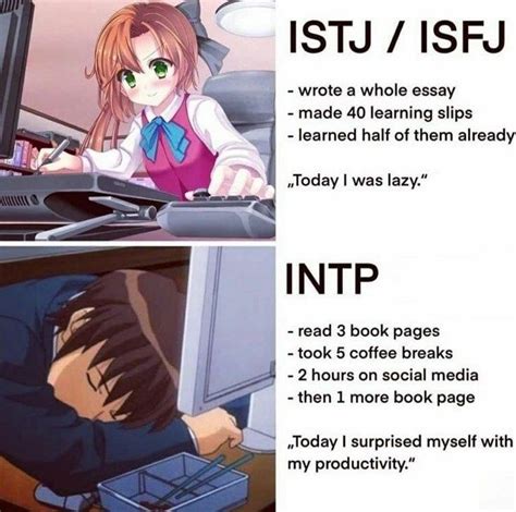 Pin By Анна Вяземская On Mbti Intj Intp Intp Mbti