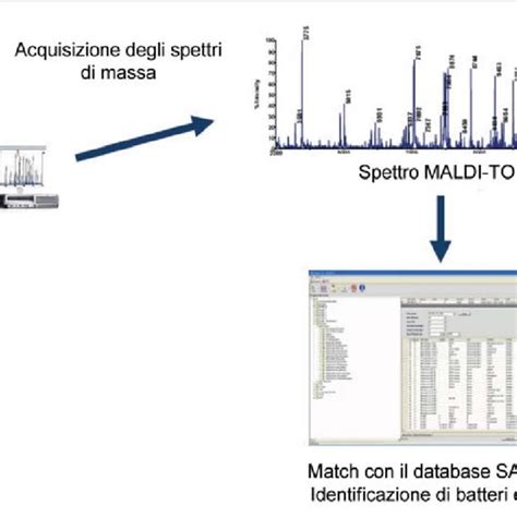 Pdf Evaluation Of The System Axima Saramis Maldi Tof Ms Biomérieux In A Clinical Laboratory
