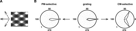 stimuli and partial correlation analysis a symmetric type i