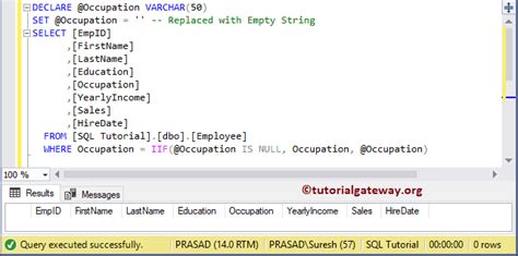 SQL Query To Select All If Parameter Is Empty Or NULL