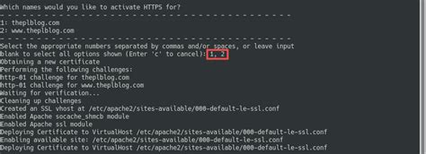 Install A Free Lets Encrypt Ssl Certificate On Debian 10 Pragmaticlinux