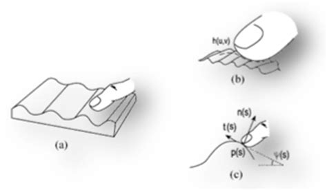 The Haptic Perception Of Macro Texture A The Finger Explores The Download Scientific Diagram