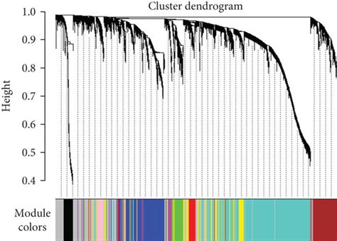 Gene Coexpression Module Construction A Scale Free Fit Index And The