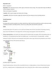 Understanding Aerobic Respiration: Glycolysis & Krebs Cycle | Course Hero