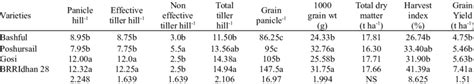 Yield And Yield Contributing Characters Of Four Rice Cultivars Grown