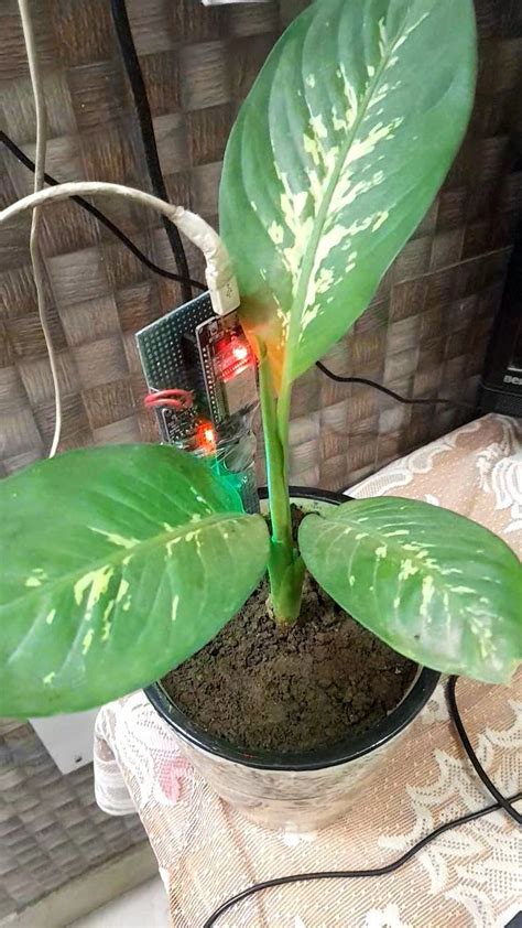 Shivam Kumar On Linkedin Iot Personalproject Smartgardening Hinditech Esp32 Innovation