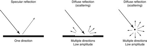 Basics Of Ultrasound Imaging Anesthesia Key