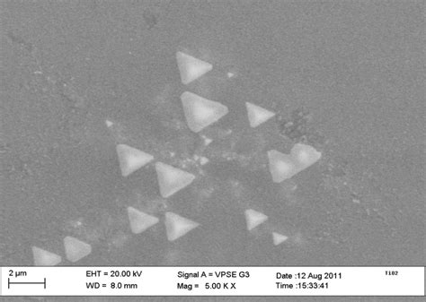1 Sem Micrograph Of A Nanocrystalline Tio2 Anatase Film Download Scientific Diagram