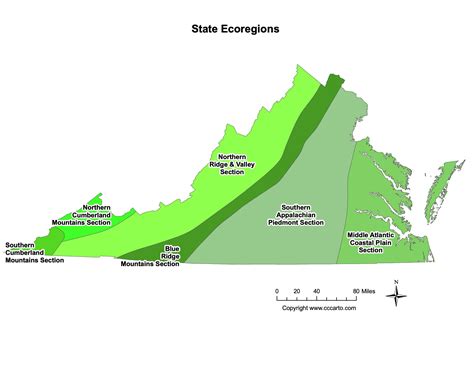 Virginia State Map Collection Shaded Relief Counties And Cities