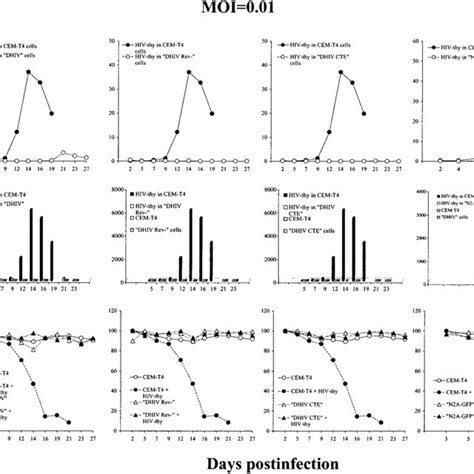 Kinetics Of Hiv Thy Replication In Clonal Cem T4 Cells Bearing