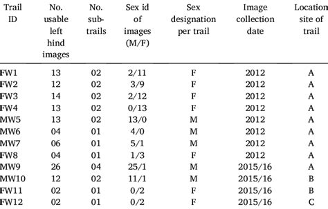 Footprint Trails Collected From Free Ranging Amur Tigers In 2012 And Download Scientific Diagram