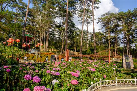 Romantic Spots in Baguio for Couples In 2024 | El Retiro