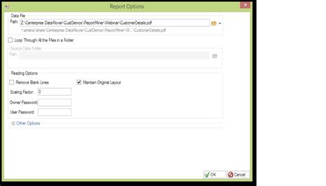 reportminer tutorial astera support