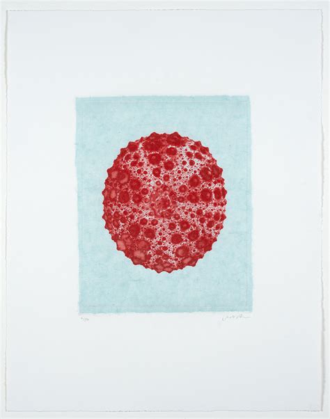 Echinoidea Art Friend Gallery