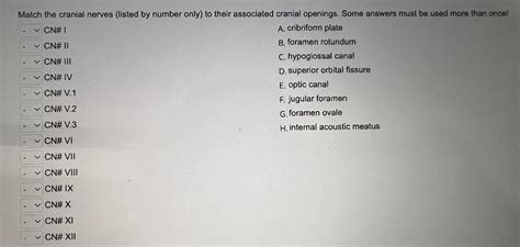 Solved Match The Cranial Nerves Listed By Number Only To Chegg Com