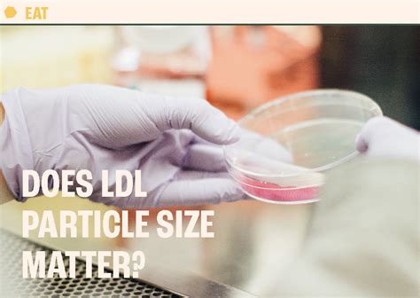 Does Ldl Particle Size Matter The Proof