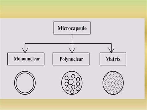 Ndds 4 Microencapsulation Drug Delivery System Pptx