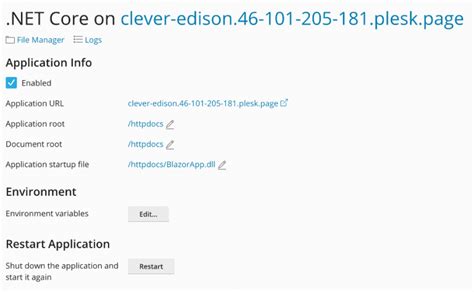 NET Application Hosting In Plesk Plesk