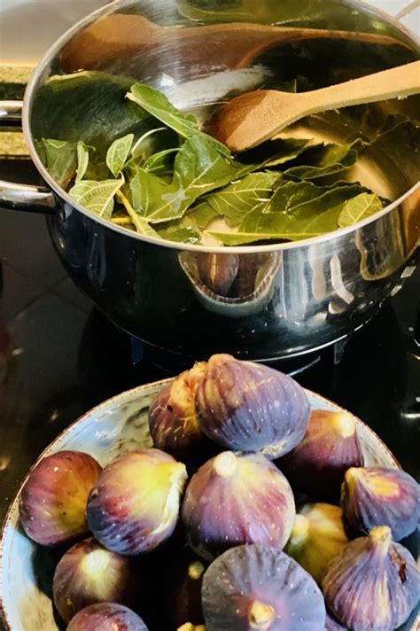 Пригответе си ЕЛИКСИР на ЖИВОТА от смокинов лист Лекува стомашна язва бронхит кожни